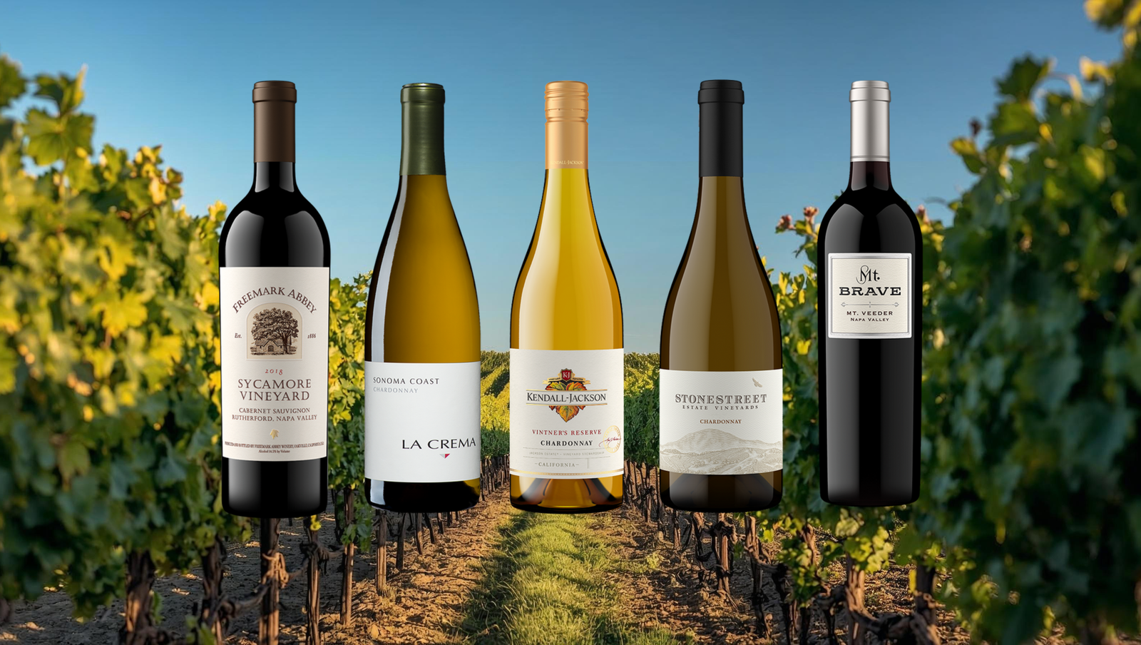 International & Fine Wine Delivery Online – World Wine